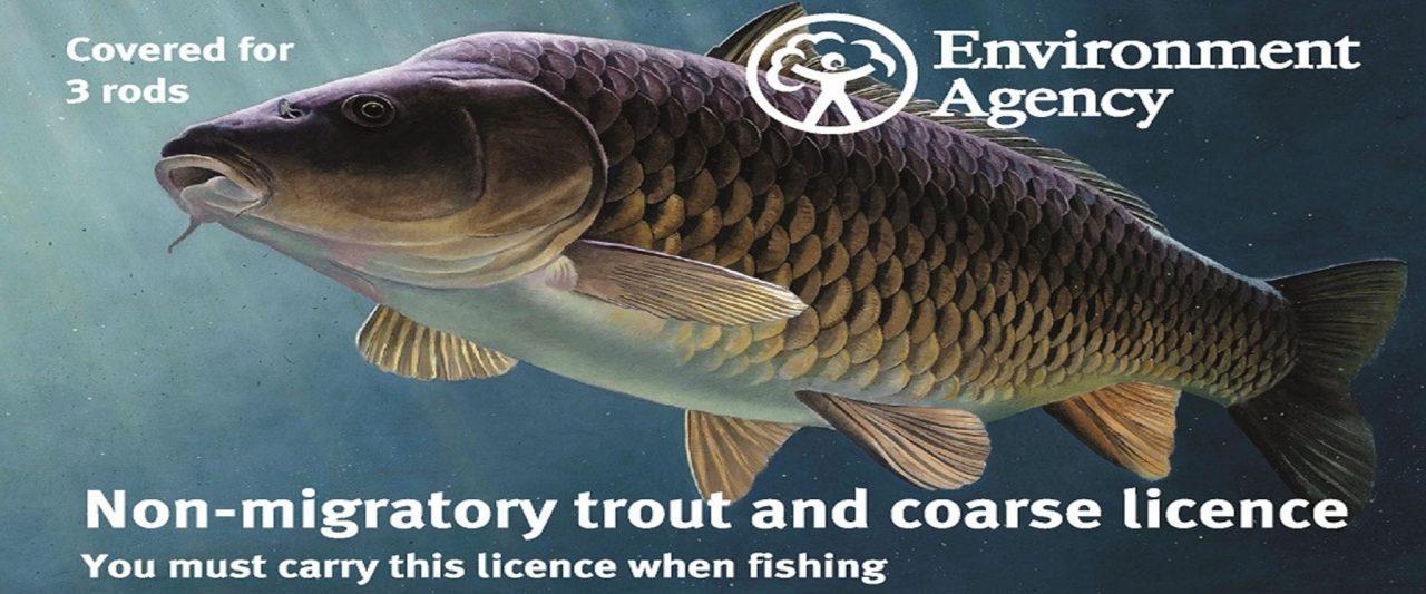 Angling fans welcome new images selected for Environment Agency fishing ...