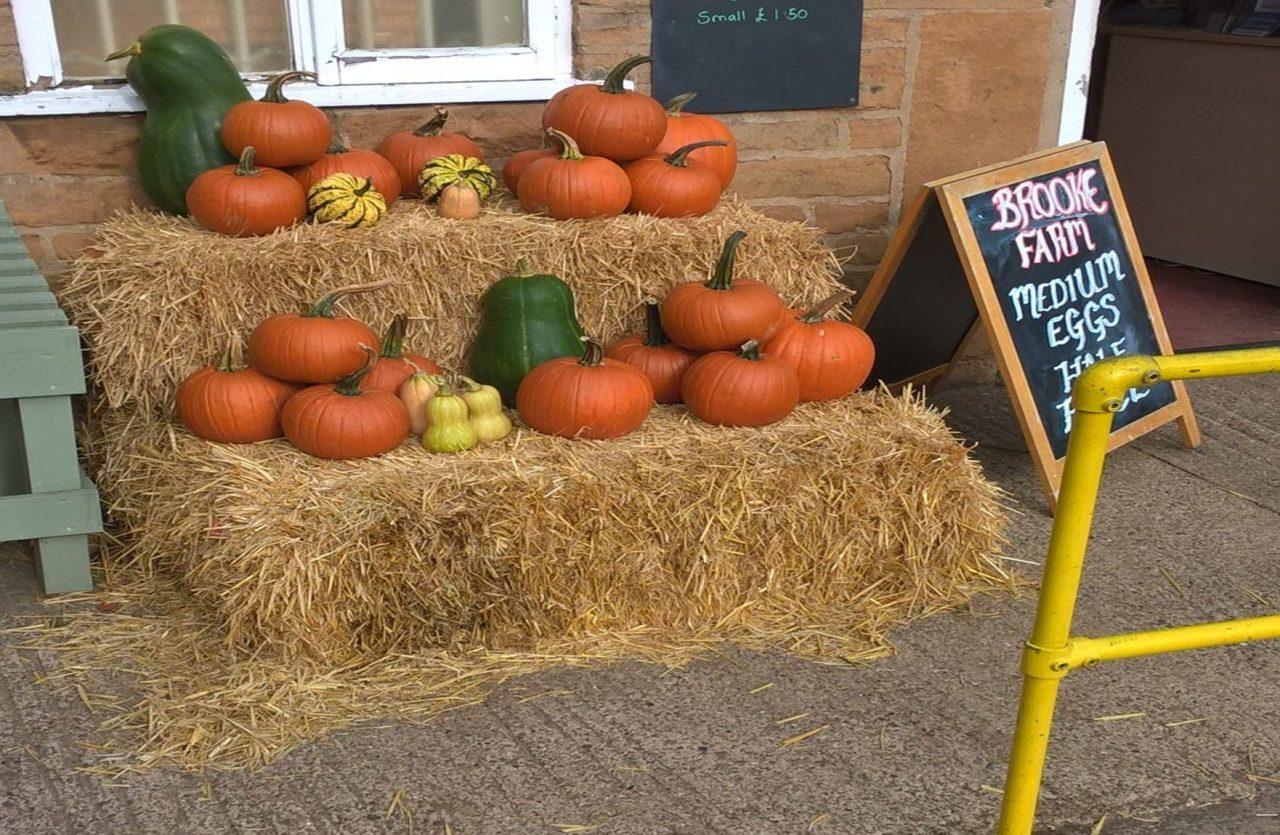 Get into spirit of Hallowe'en by picking up a pumpkin from Brooke Farm ...