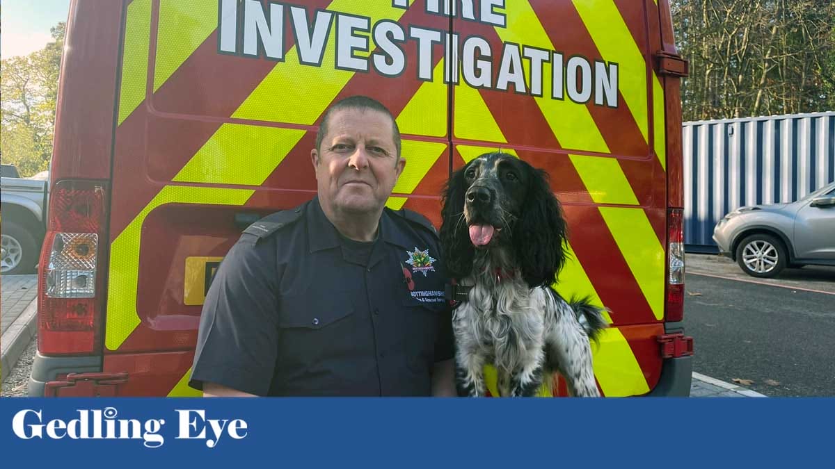 Meet Barney, the new fire dog starting work with Nottinghamshire Fire ...