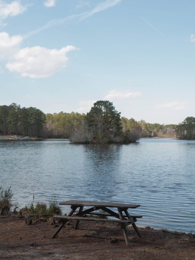 Exploring Netherfield: The Estate That Captivates Jane Austen's Readers ...